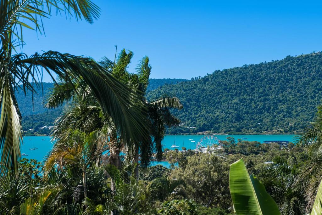 Casa Corallo, Airlie Beach (updated prices 2025)
