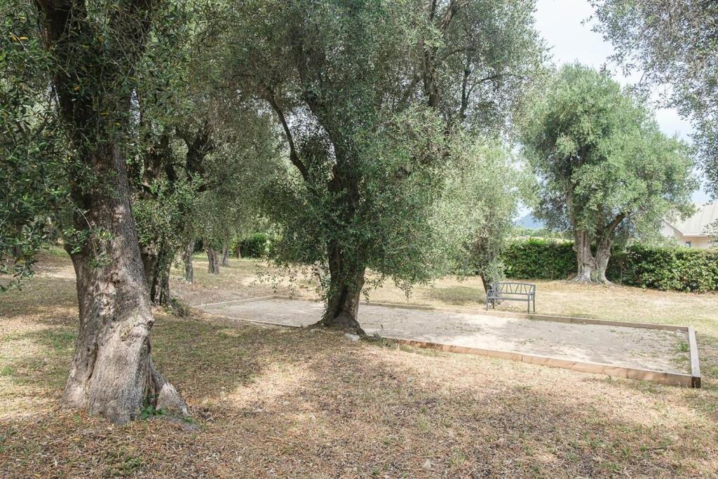 Rez De Jardin Dexception Sur Les Hauteurs De Nice 니스 2025년 최신 요금 2518