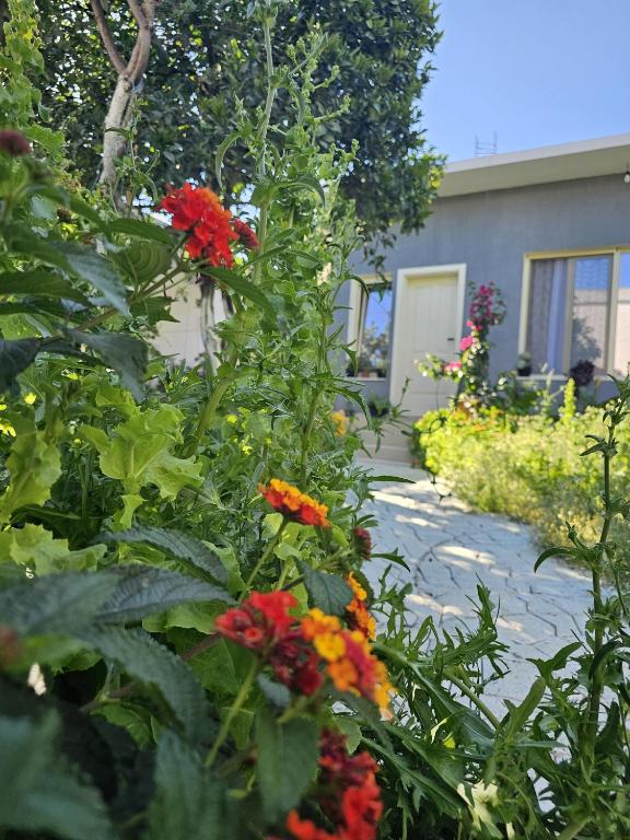 simon house, Vlora (aktualisierte Preise für 2025)