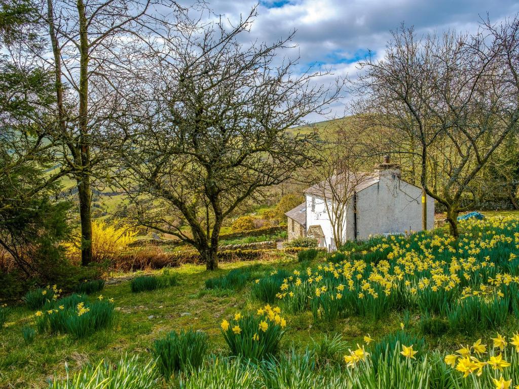 Waingap Cottage, Crook (updated prices 2025)