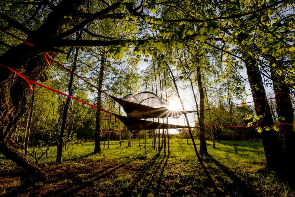 Teltis Liepās, Puša (precios actualizados 2025)