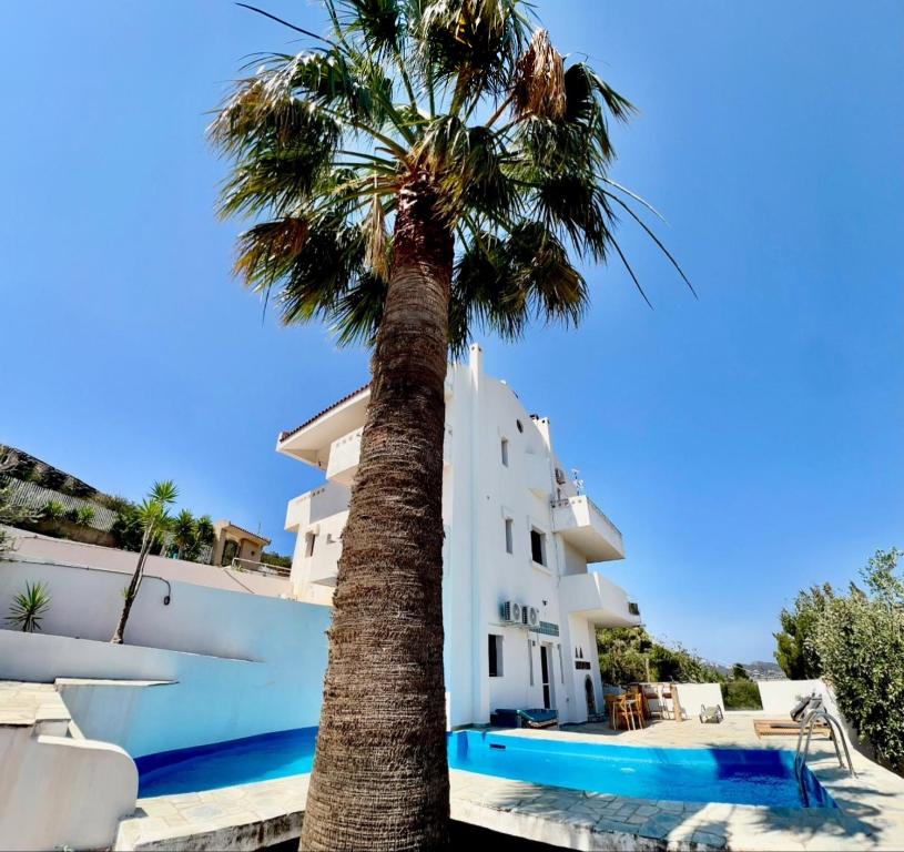 Palm Tree Villa with Self-Contained 2 Bedrrom Apartment at Pool level ...