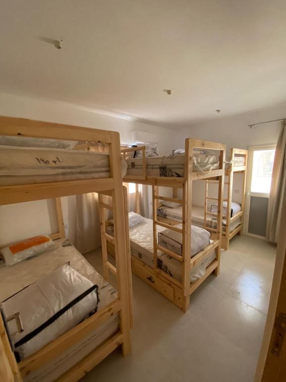 Gomam hostel, Dahab (updated prices 2025)