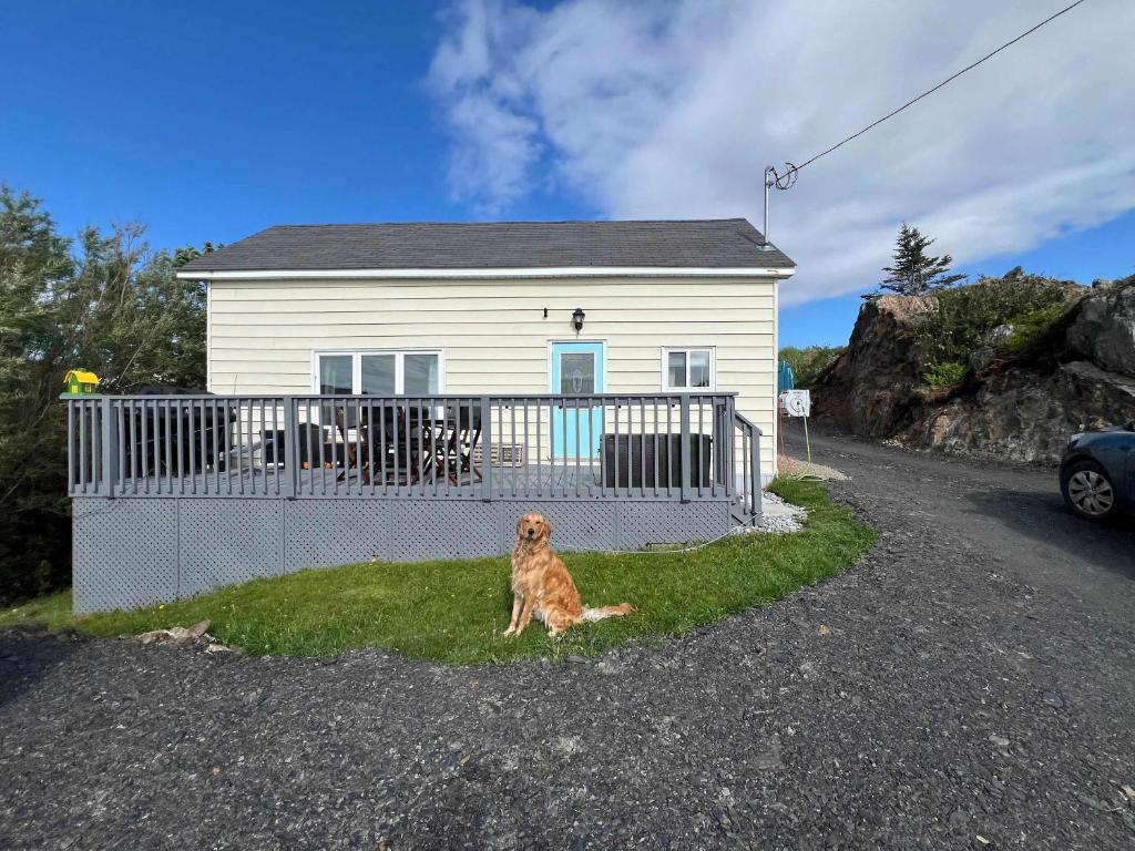 Scout's House, Twillingate (updated prices 2026)