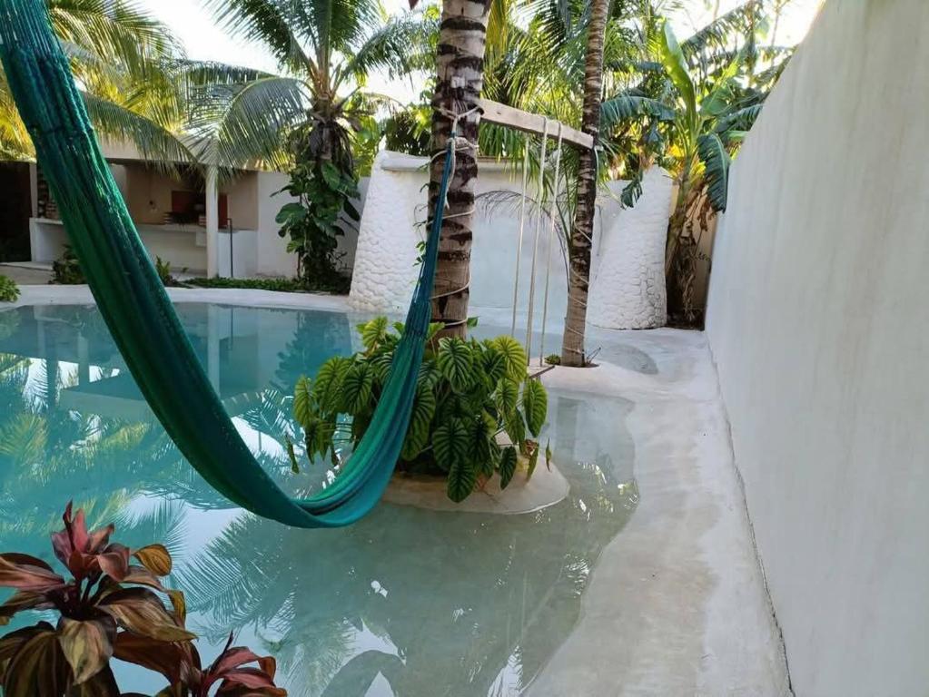 Secret Paradise Mahahual, Mahahual (updated prices 2026)