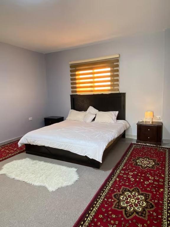 Bedouin Life Petra, Petra (updated prices 2025)