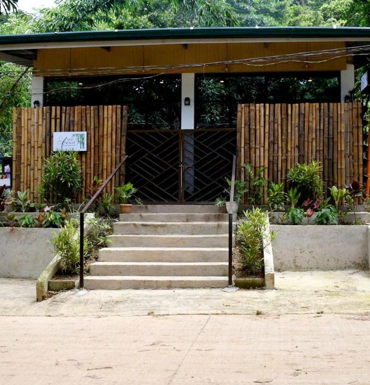 Mid Forest Homestay, El Nido (posodobljene cene za leto 2025)