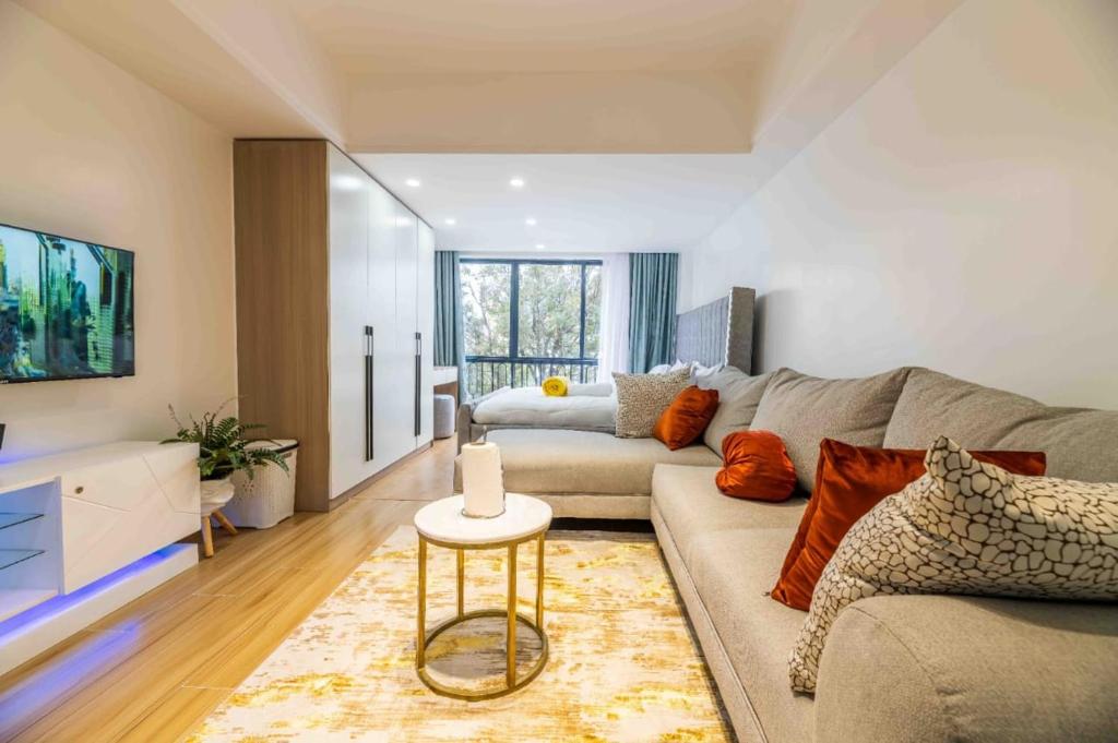 executive studio apartment in kilimani with modern luxury facilities ...