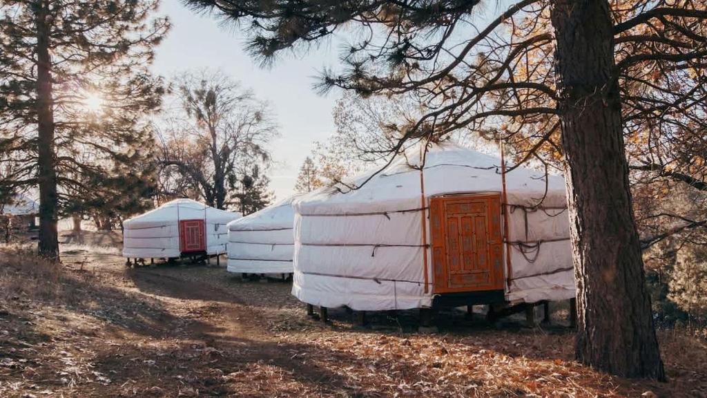 Authentic Mongolian Yurt in Sequoia National Forest, Perfect for a ...