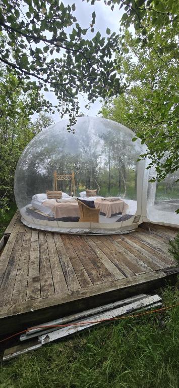 Eyja Mork - Aurora Borealis Igloo with Hot Tub, BBQ and shared kitchen, Stora Mork (updated ...