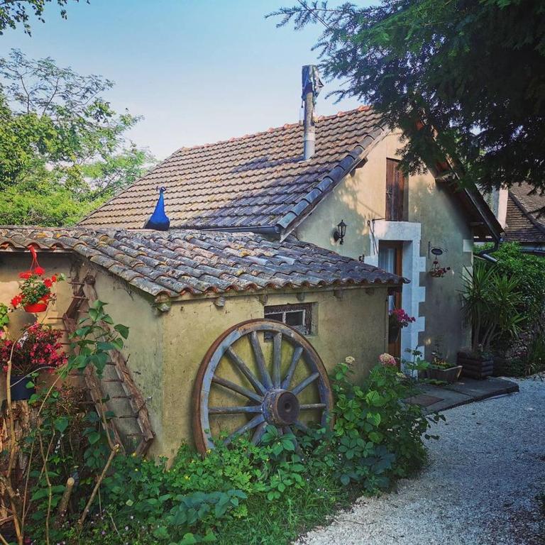 Gîte le nid du pic vert à Sarlat la Caneda - Nature-Animals, Sarlat-la ...