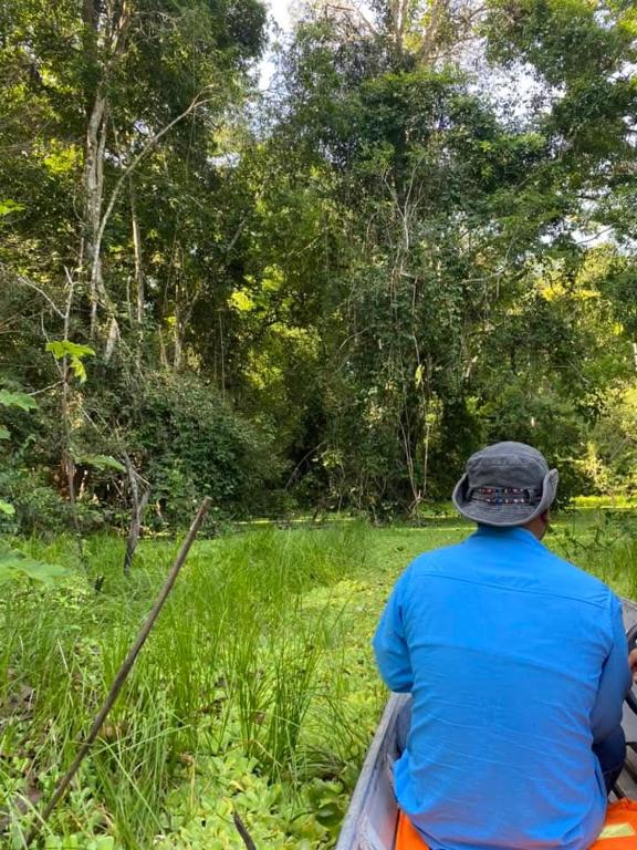 Amazon eagle Explore, Nauta (precios actualizados 2025)