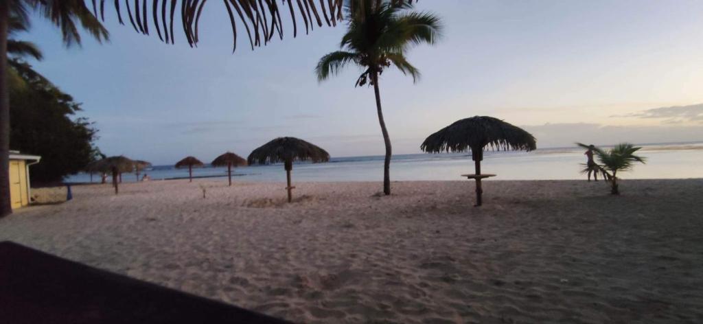 Le Tiaré, Saint-François (updated prices 2025)