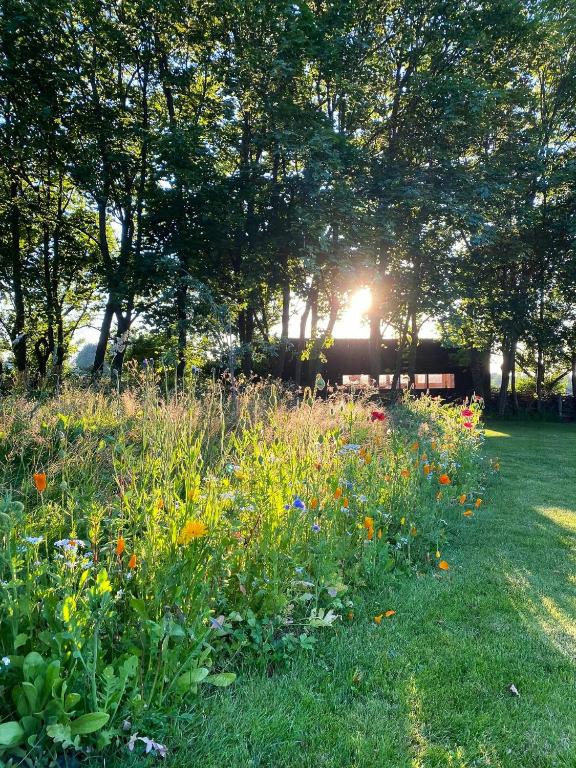 Tiny House By Bjerregrav Marsh And Nature, Randers (aktualisierte ...