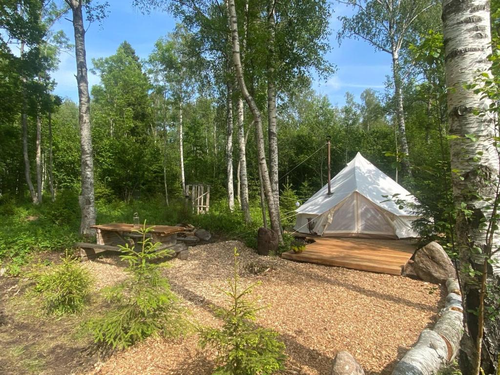 Off-grid forest glamping, Karuse (prețuri actualizate 2025)