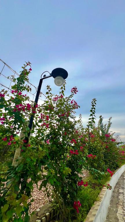 Dhundhleshwar resort Near Narayan pur dam basoli road D148 Bundi ...