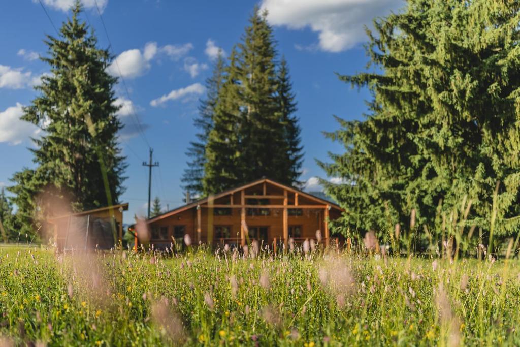 Casute cu cerdac, Şaru Dornei (prezzi aggiornati per il 2025)