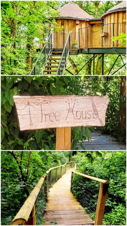 Treehouse In Devon, Beaworthy (updated prices 2025)