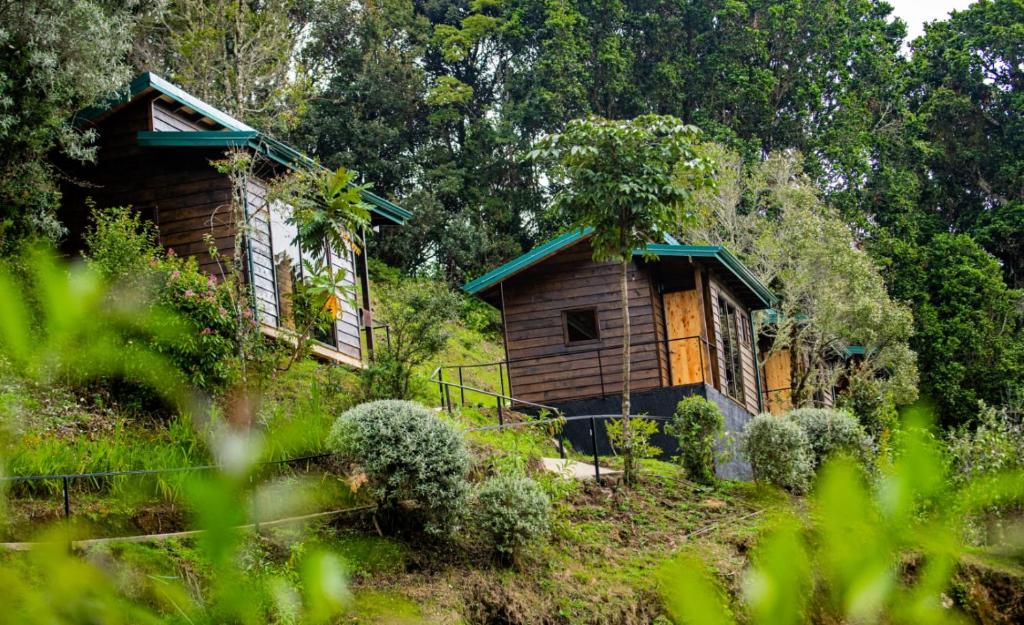 Hotel de Montaña Gema del Bosque, Copey (актуальные цены 2025 года)