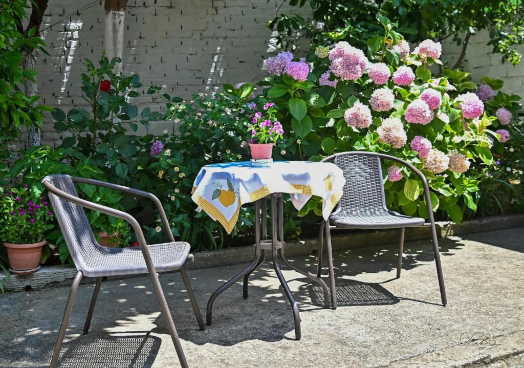 SEN Garden Home, Tirana (updated prices 2026)