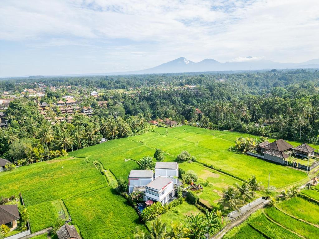 Maple Ridge Ubud Villas, Ubud (updated prices 2025)