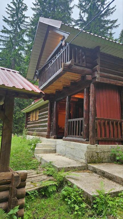 Forest Peace, Plav (updated prices 2025)