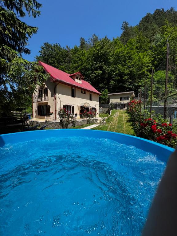 Casa Trei Brazi Bratca, Bratca (updated prices 2026)