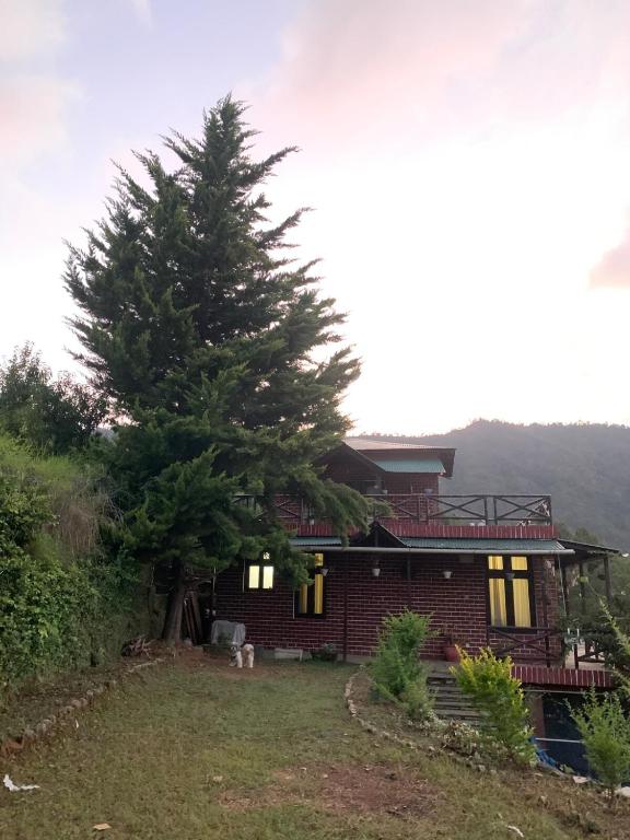 Shivoham Cottage near Dhokane Waterfall, Nainital (updated prices 2026)