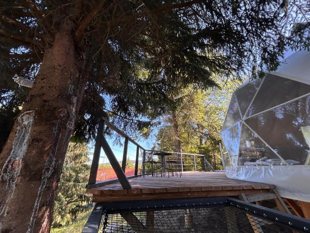 White Fox Dome, Harghita-Băi (giá cập nhật 2025)