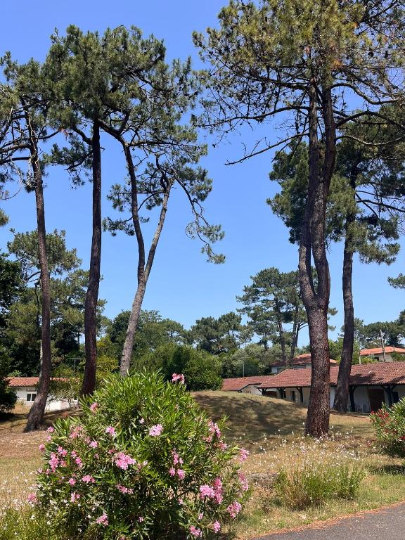 Les Pastourelles, Capbreton (updated prices 2025)