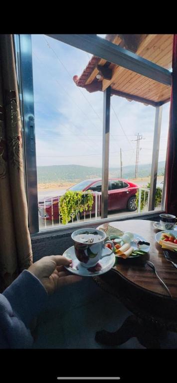 Moose house, Ajloun (prețuri actualizate 2025)