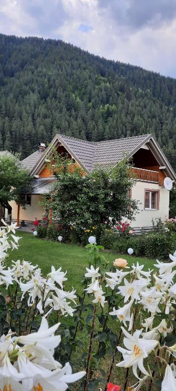 Casa Raluca, Bicaz Chei (prezzi aggiornati per il 2025)