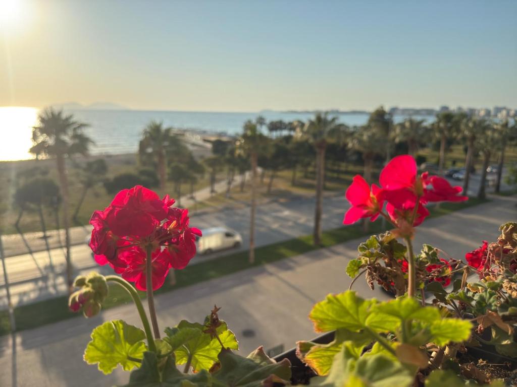 Vlora Beachfront Apartment, Vlorë (updated prices 2026)