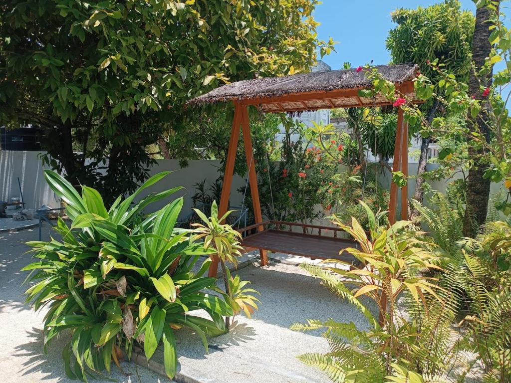 Comfy Nest by eMzaz, Difušis (atnaujintos 2025 m. kainos)