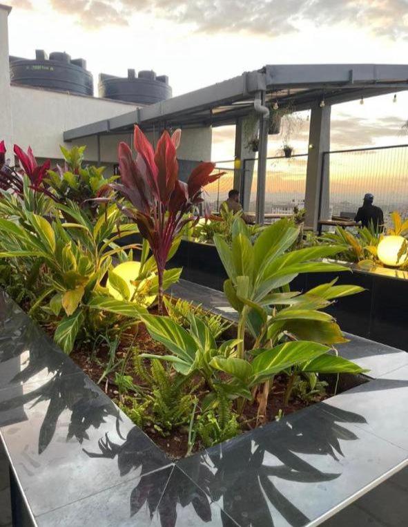 Tsavo fedha, Nairobi (prezzi aggiornati per il 2025)