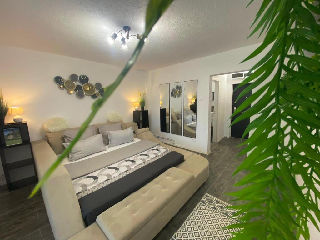 Luca Studio - HD, Hunedoara (precios actualizados 2025)