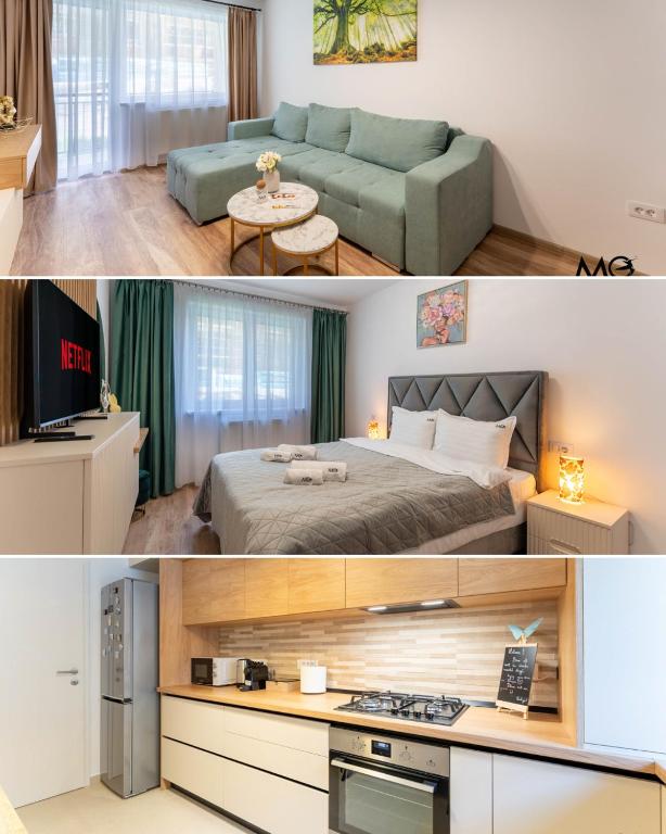 MoHost Sabina - Signature Retreat with Balcony, Braşov (updated prices ...