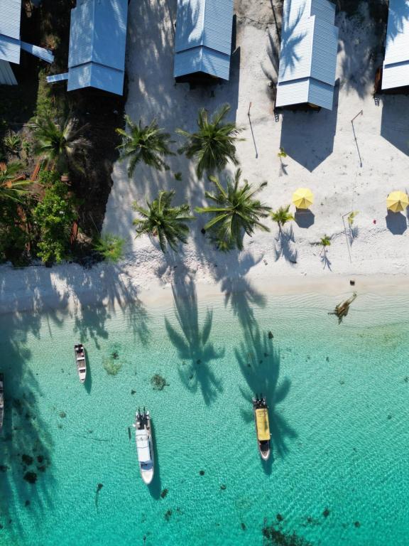 Andau Dive Resort Raja Ampat, Tapokreng (updated prices 2026)