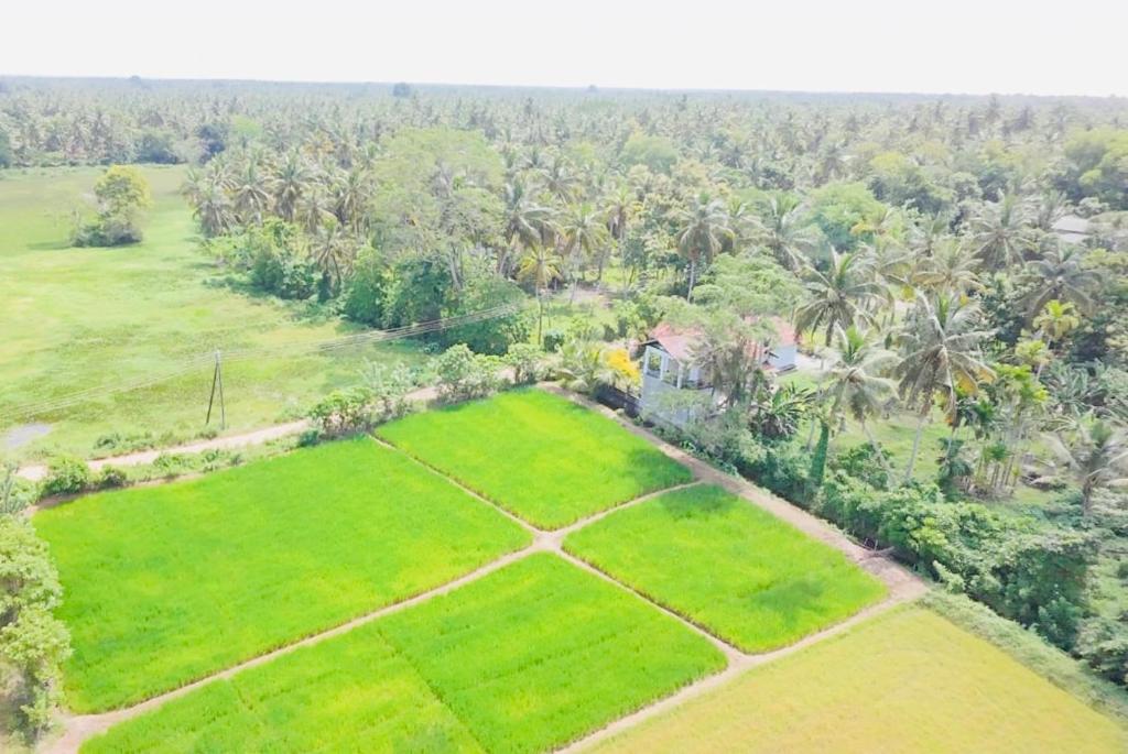 Wela addara, Bingiriya (updated prices 2025)