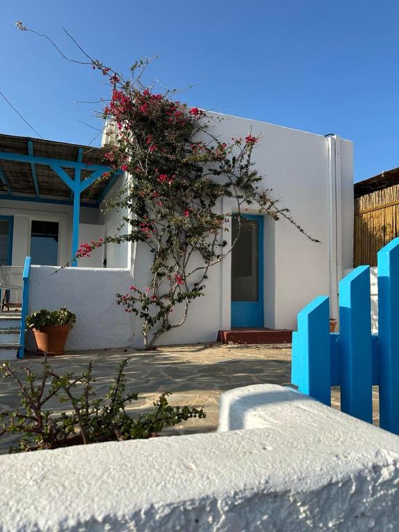 Asimina's beach house, Kipri (updated prices 2026)