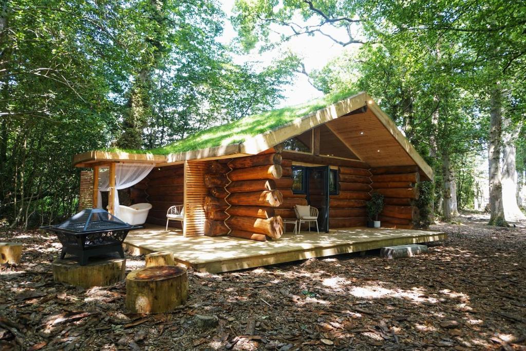 Secluded Hand Crafted Log Cabin, Okehampton (updated prices 2025)