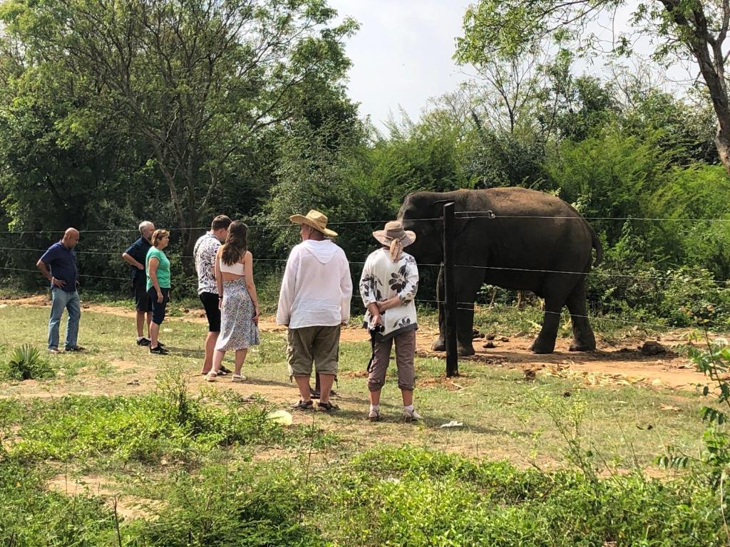Forests for People Nidikumba Safari, Tanamalwila (updated prices 2026)