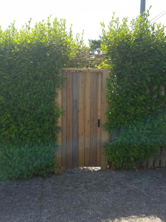 Courtown Village Cabin, Courtown (updated prices 2026)