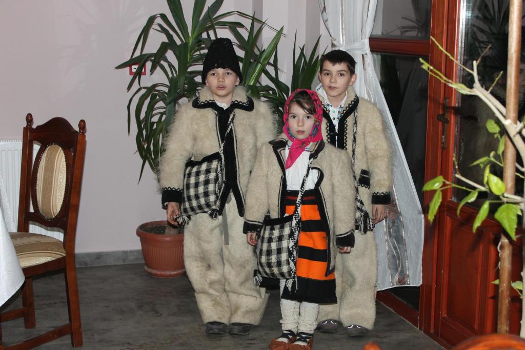 Pensiunea Crinul Alb, Deseşti (updated prices 2025)