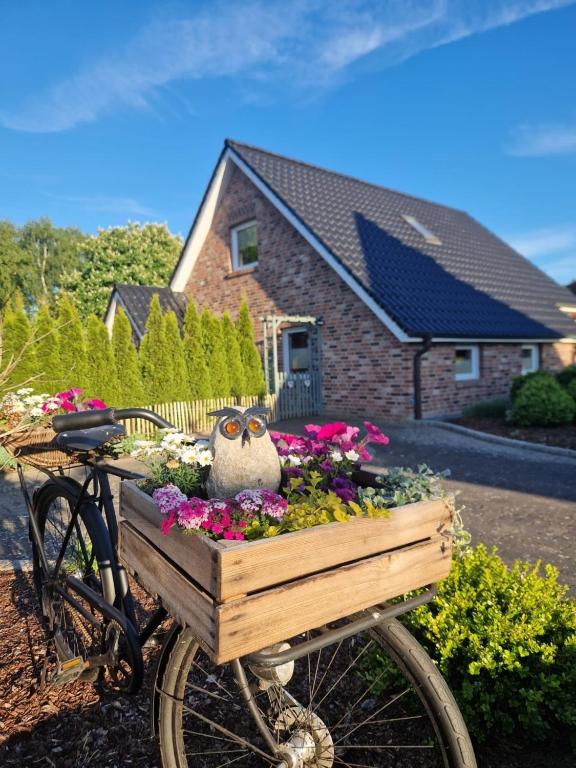 Eulennest Emsland, Dersum (updated prices 2026)