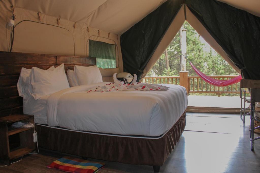 Kuriftu Entoto Adventure Park, Addis Ababa (updated prices 2026)