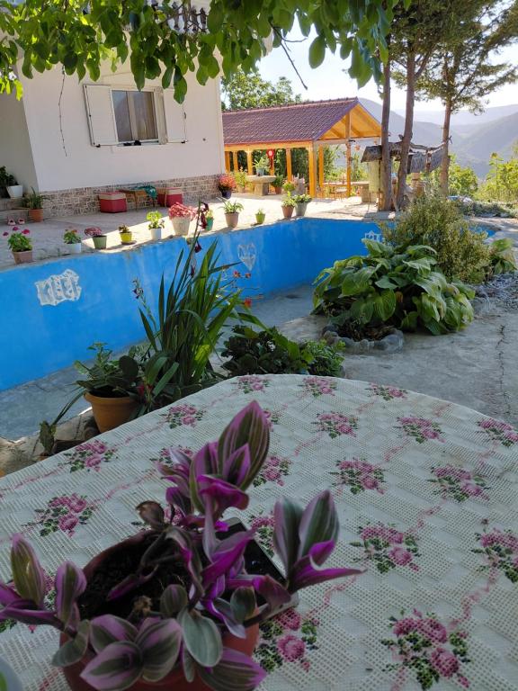 Konaku Zenelaj, Polisi i Vogël (aktualizované ceny na rok 2025)