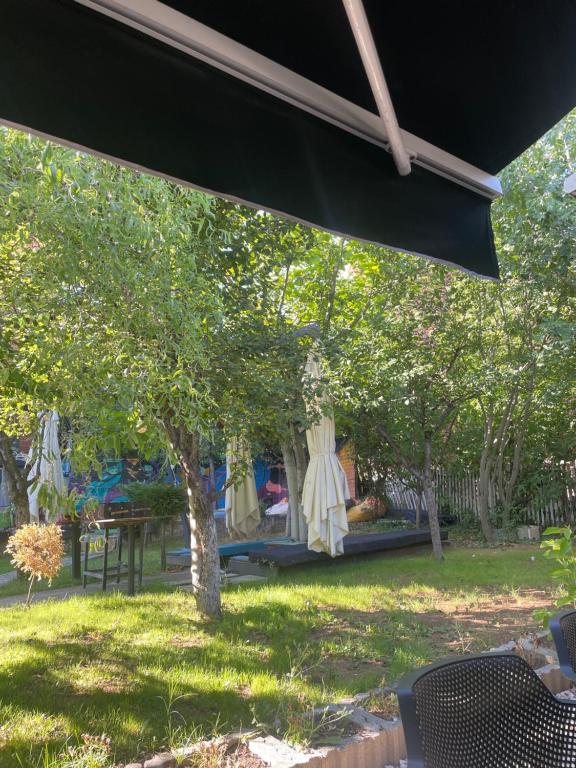 Rinesa Pacolli, Pristina (updated prices 2025)