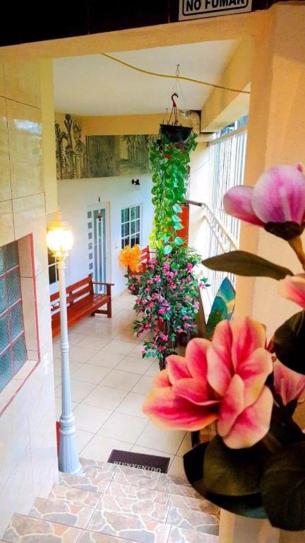 Posada guitos, Xilitla की (2026 के लिए अपडेट हुई कीमत)