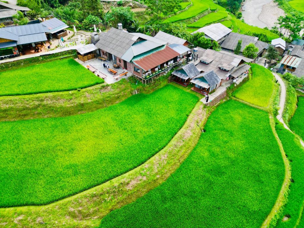 Tavan Paddy Field Homestay, Sapa (precios actualizados 2026)